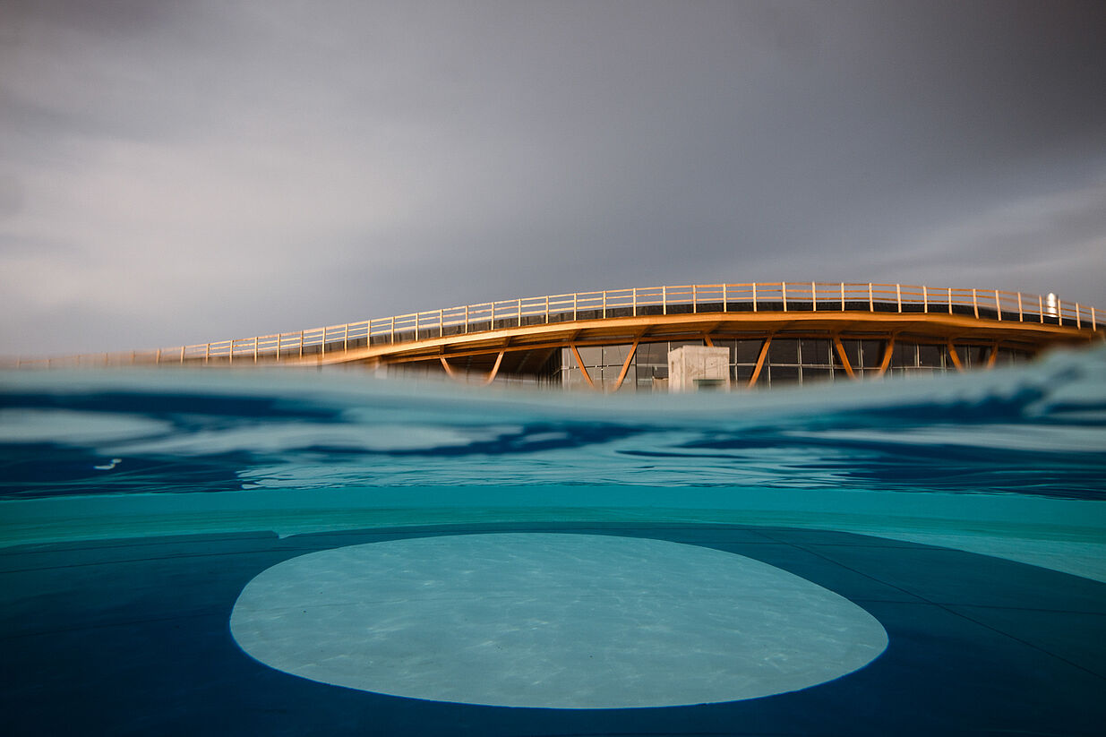 Entdecke die o2 SURFTOWN MUC: Wave Pool, Surf Academy und mehr